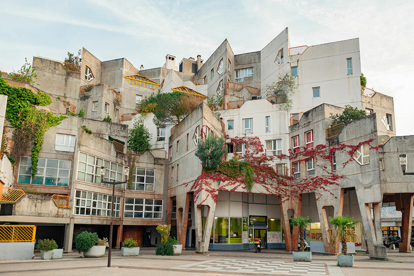 ‘Brutalist Plants’ Photography Book Captures the Essence of Eco ...